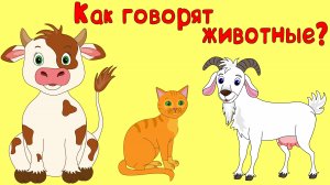 Обучающие мультфильмы для самых маленьких!