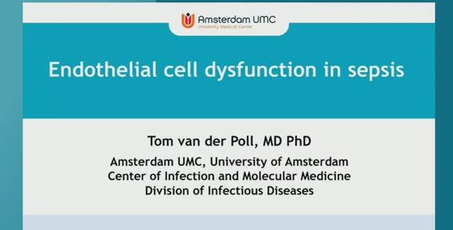 Microcirculation + Can Ince