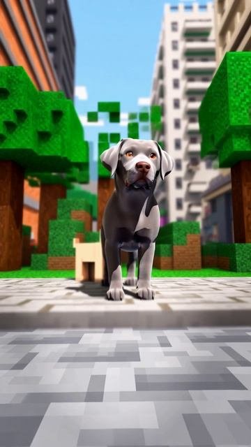 The DOGS