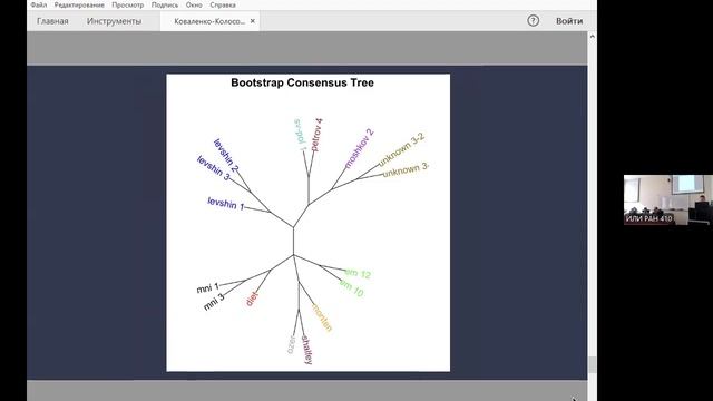 XXXVII чтения памяти Л. Л. Кутиной и Ю. С. Сорокина 28–29 марта 2025 г
