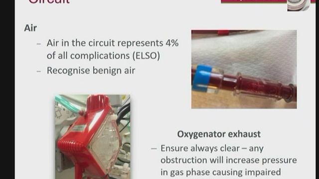 ECMO, RRT, Dyalisis, Blood purification, Haemsorbtion