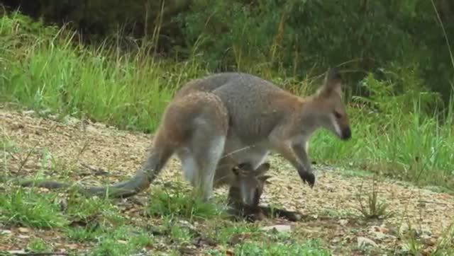 Барбара Онилл__ Здоровье