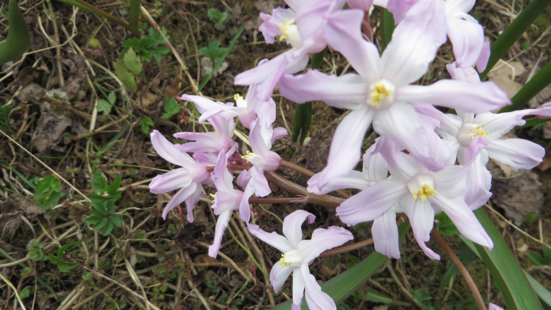 Красота природы вокруг меня.