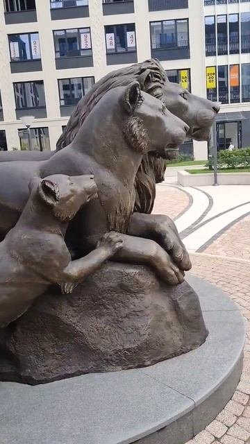 Интересные дома Санкт-Петербурга