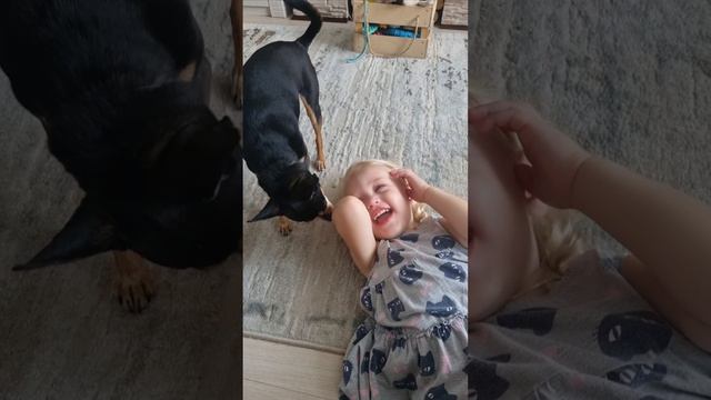 Собачья любовь или собака и ребёнок 🐶❤️👼 #собакаиребенок #любовьсобаки #русскийтой #toyterrier