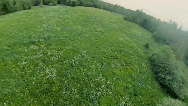 Лосяш