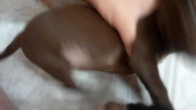 VID_20250611_115701
