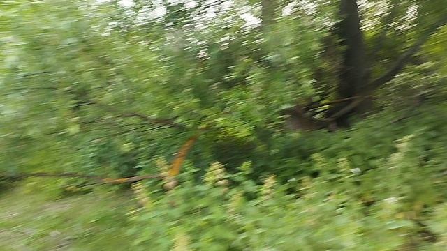 1000189634.mp4