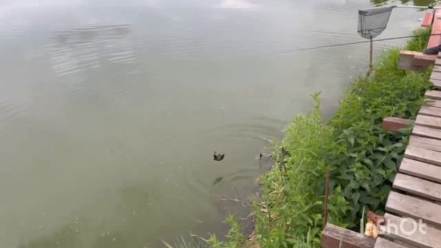 1000087793.mp4