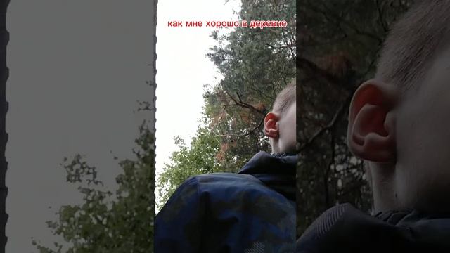 как хорошо в деревне