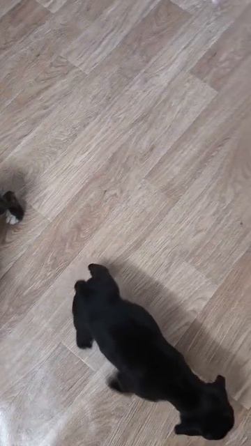 1000001508.mp4
