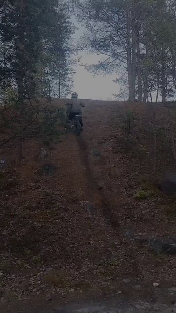 Покатушки