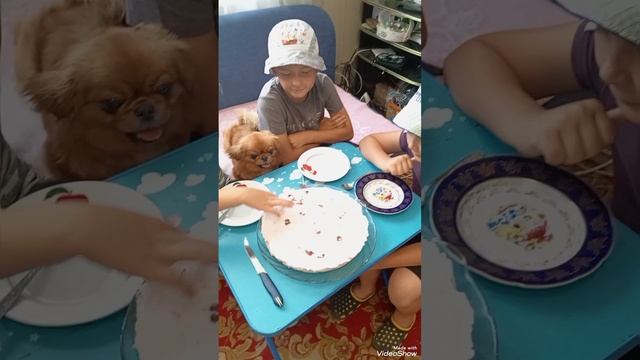 1000214179.mp4