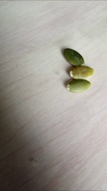 семечки