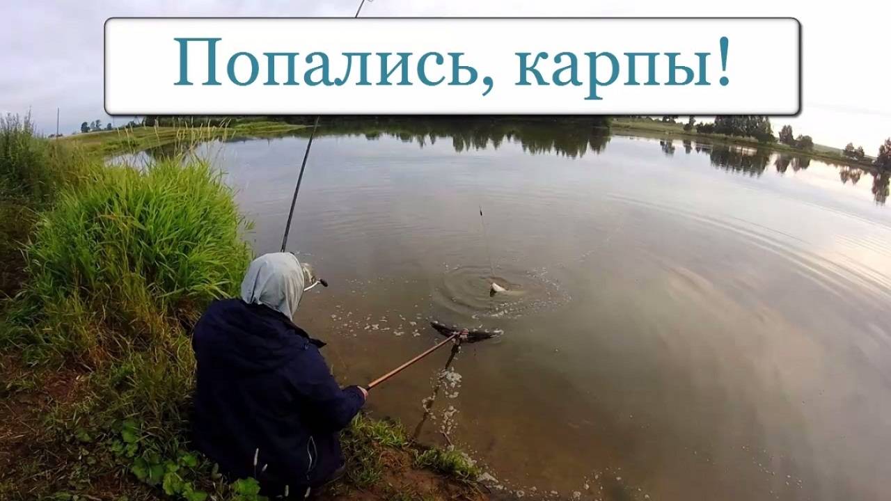 Ловля карпа на донку. Карпфишинг