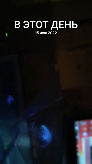 1000027726.mp4