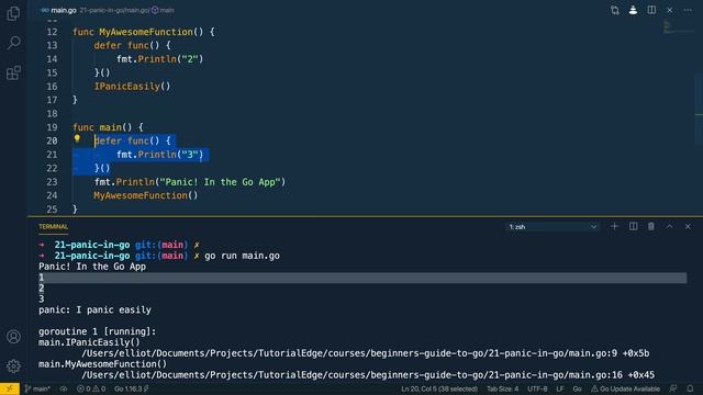21 - Panic in Go