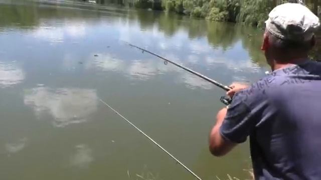 Рыбалка на карпа. Ловля карпа на поплавочную удочку. My fishing