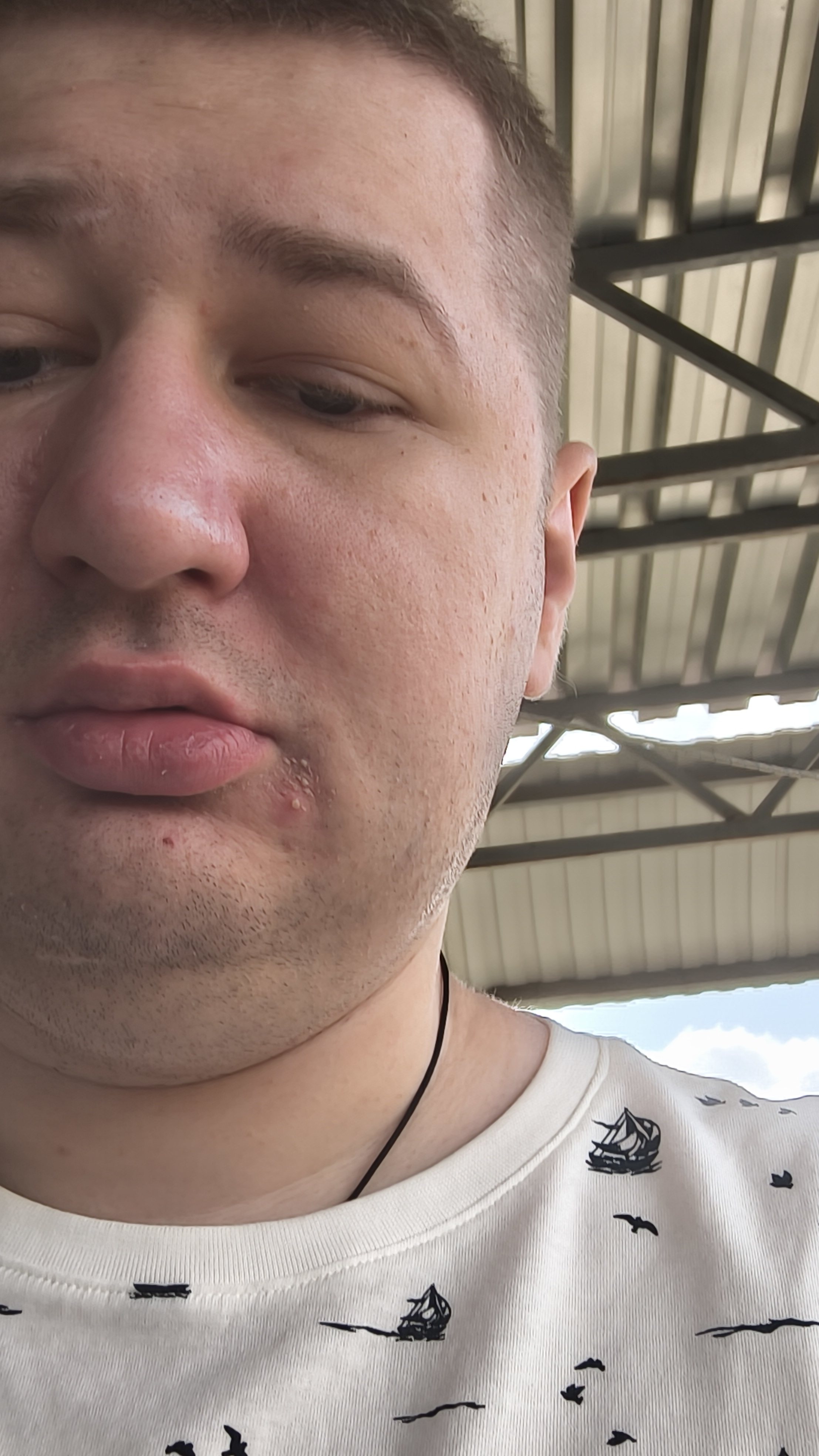 scene_output.mp4