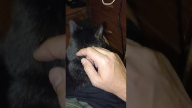16-06-2025😺👍