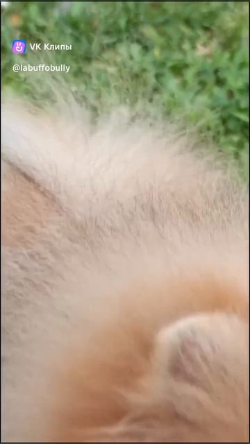 1000059134.mp4