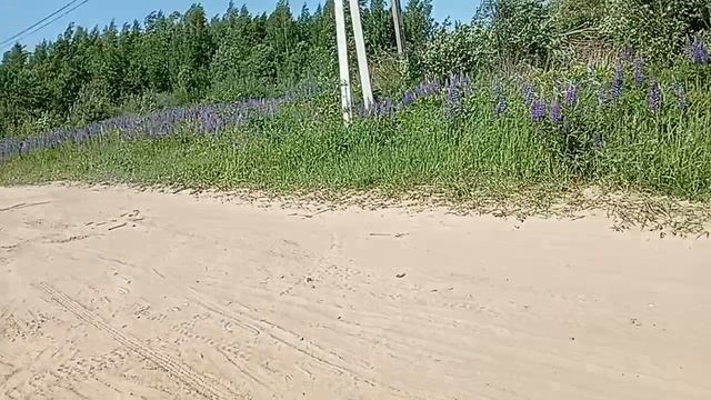 1000013529.mp4