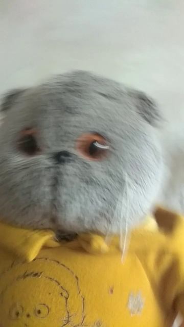 Басик