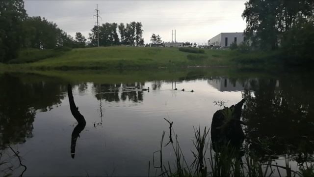 Рыбалка 2020