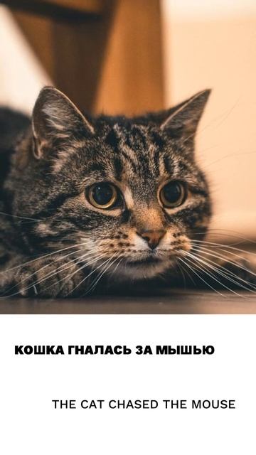 Гнаться