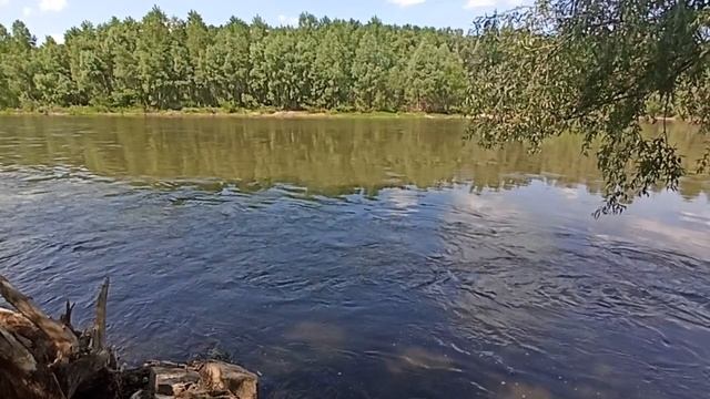#РекаБелая