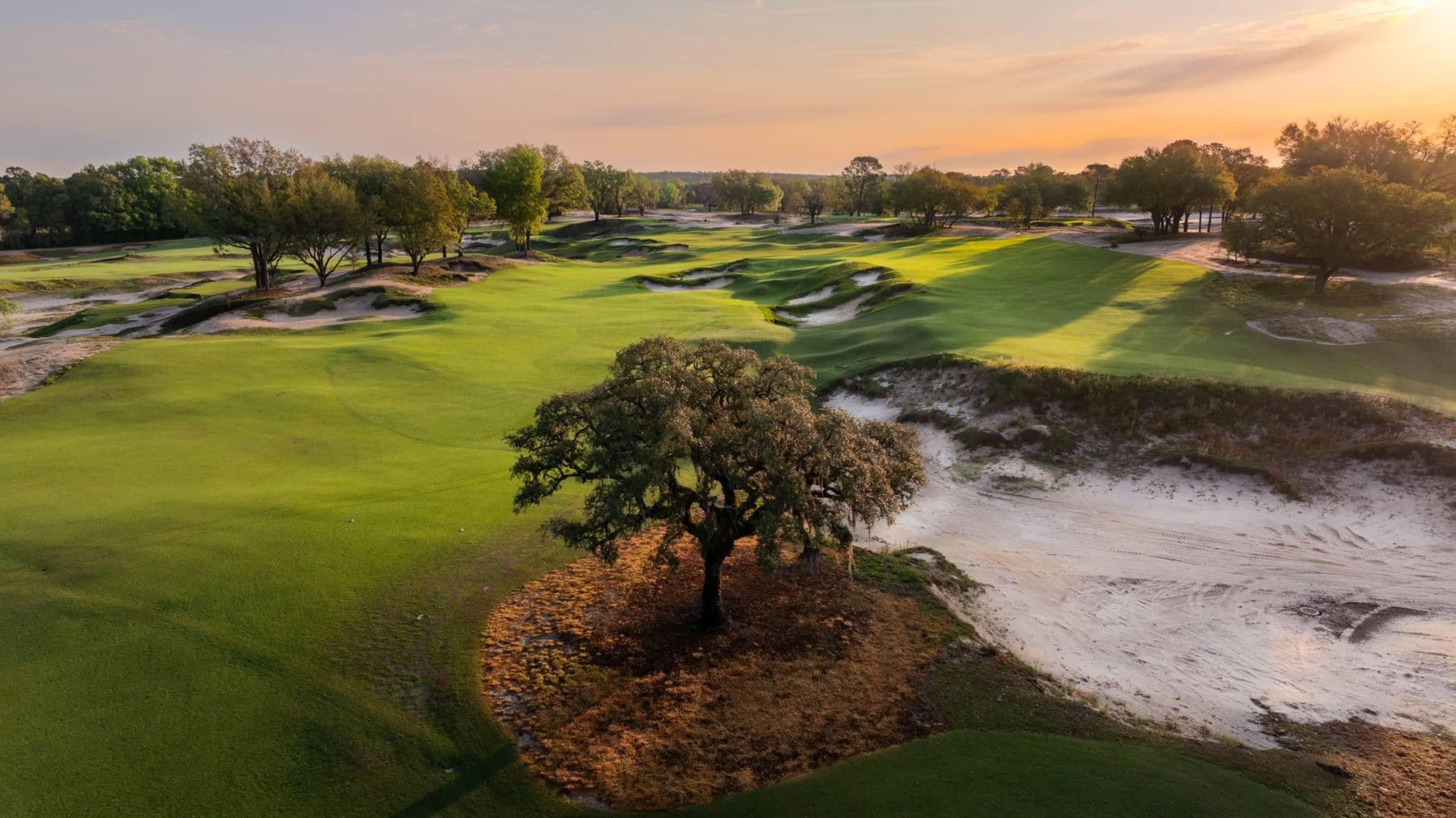 Гольф в Cabot Citrus Farms Karoo Course | Расслабляющий гольф