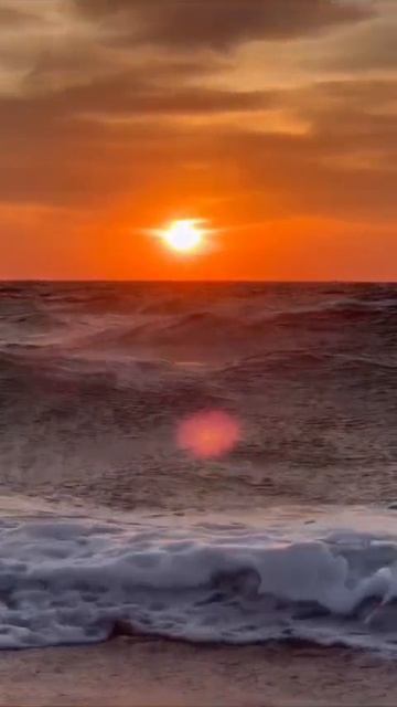 VID-20241102-WA0002