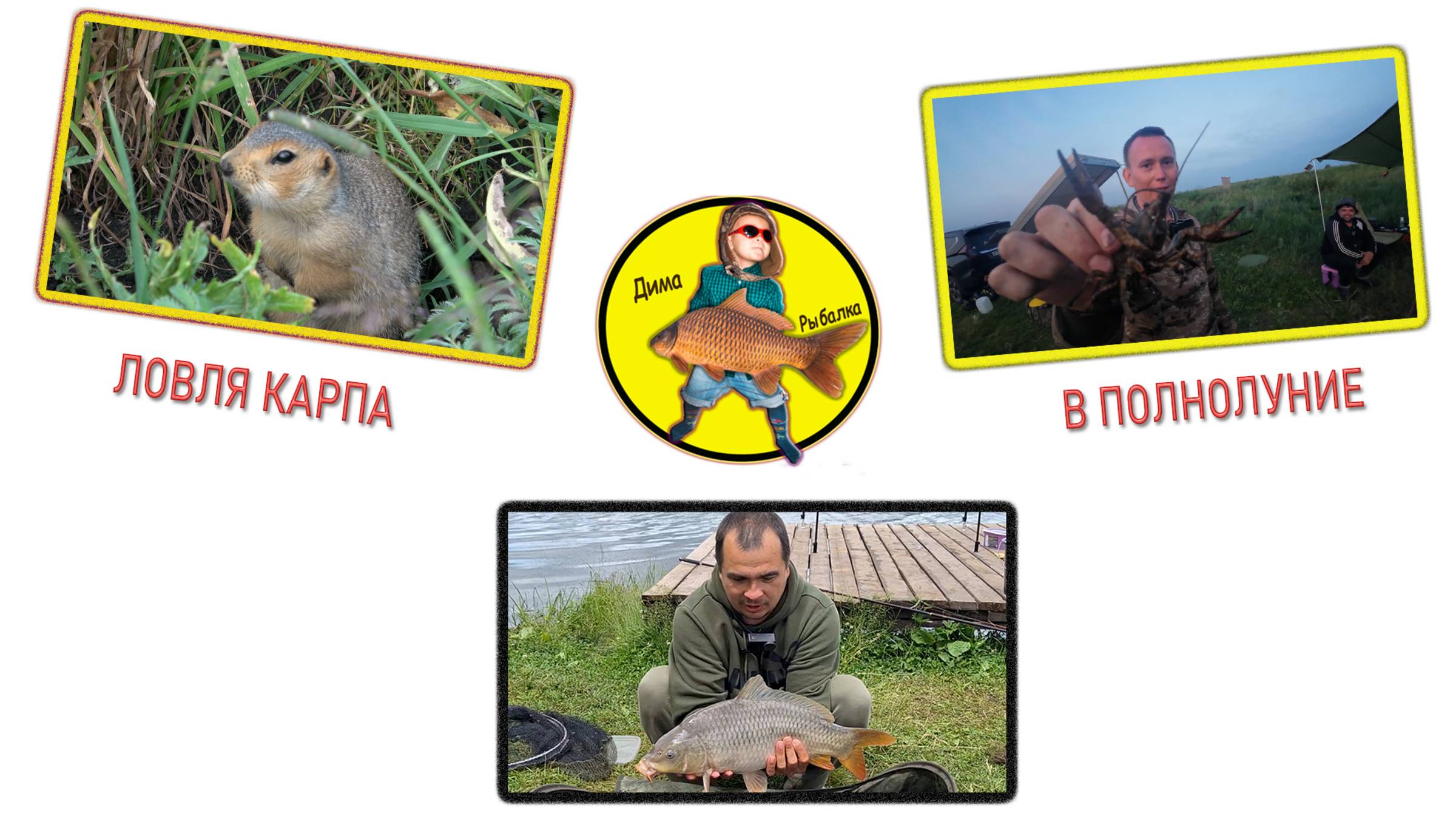Ловля карпа в полнолуние