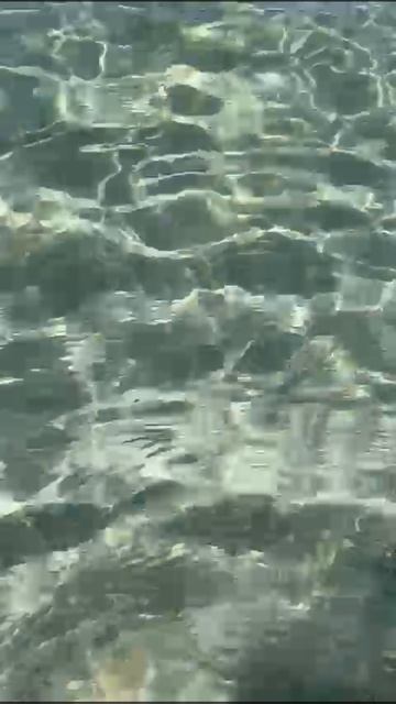 VID-20241031-WA0004
