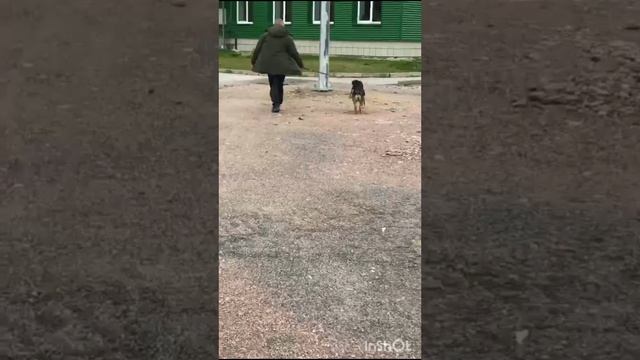 Найда.
