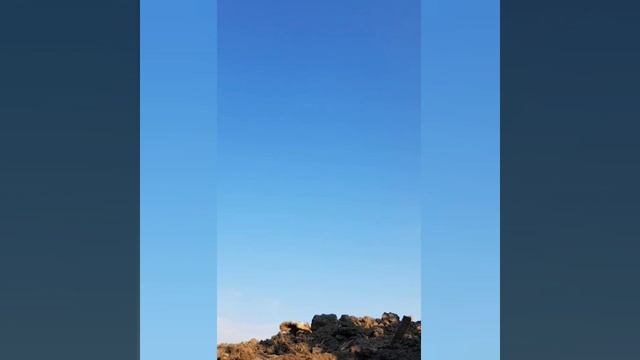 1000137555.mp4
