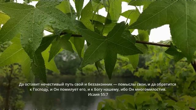 Сила в слове Божьем Стихи из Библии, которые изменят твою жизнь.