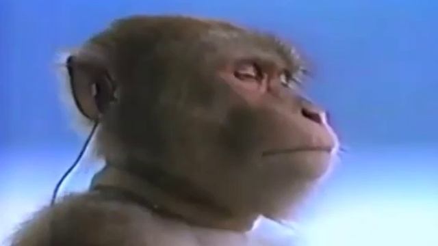 1000013253.mp4