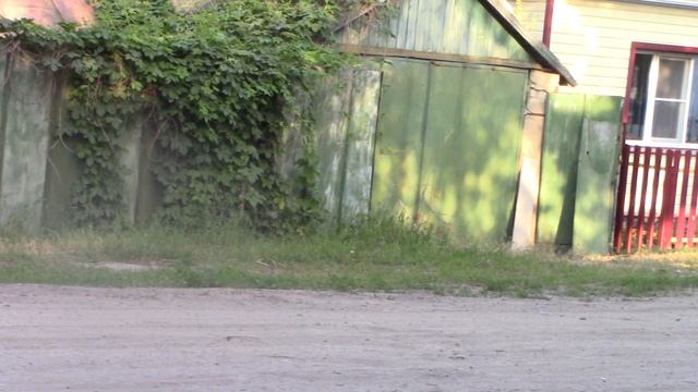MVI_2297
