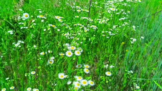 Harmony of nature.