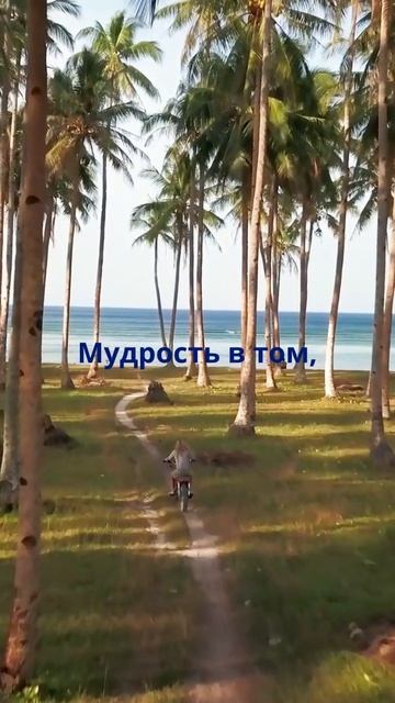 Не злись!