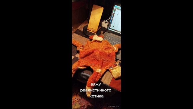 Вяжу реалистичного котика, 25.06.25