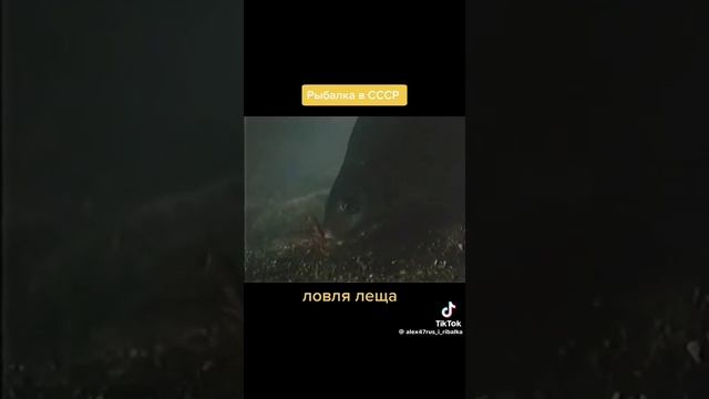 рождённые в СССР