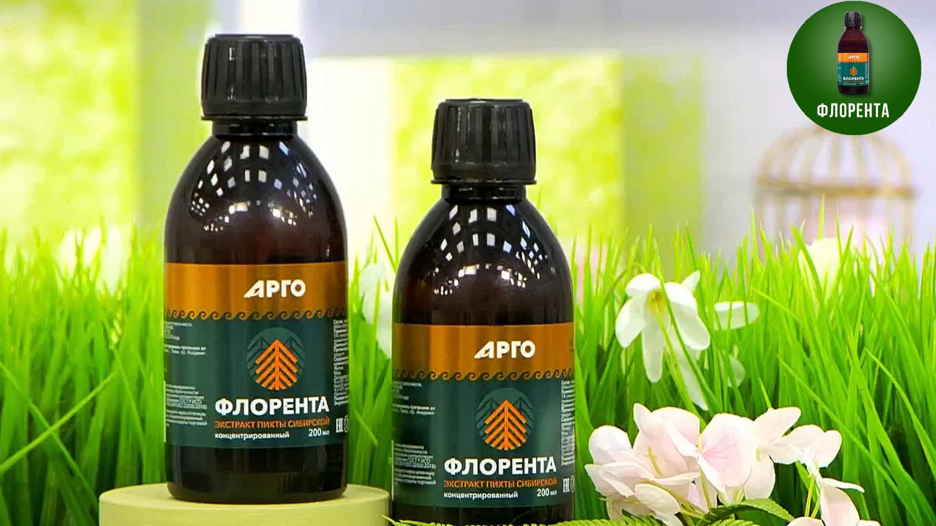 Флорента