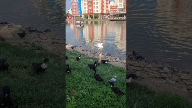 1000075497.mp4