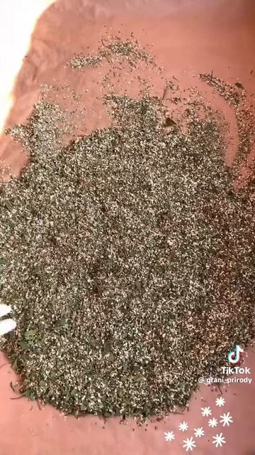 Черёмуха