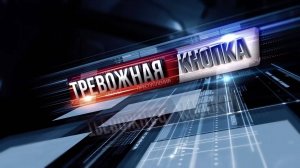 Тревожная кнопка