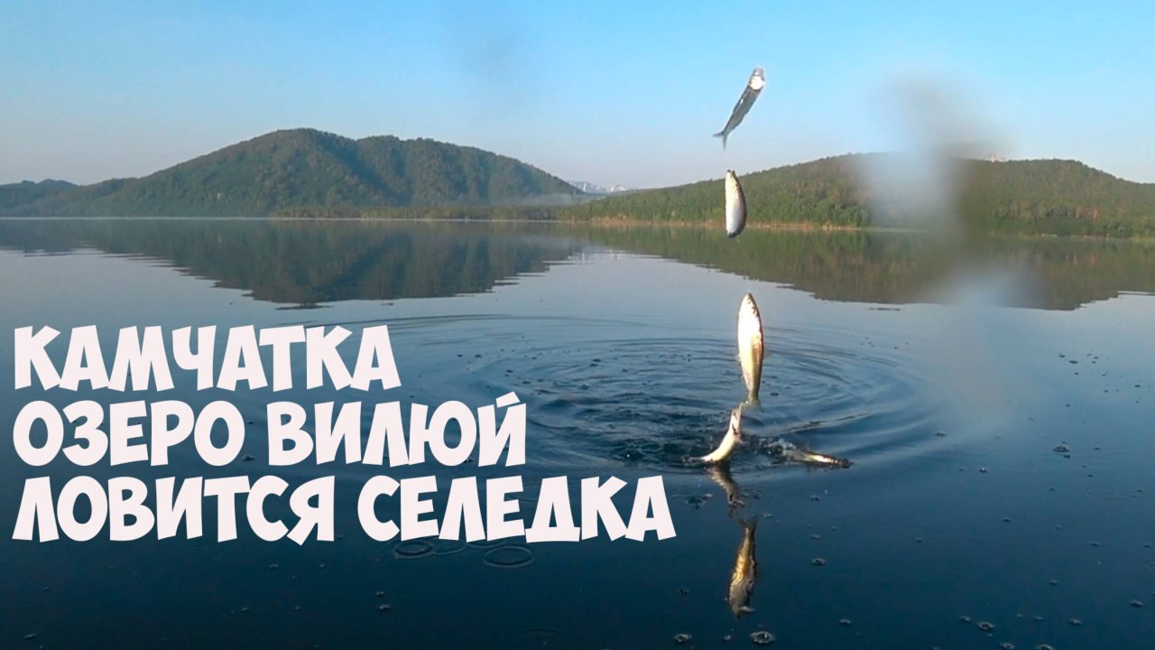 Рыбалка на Камчатке