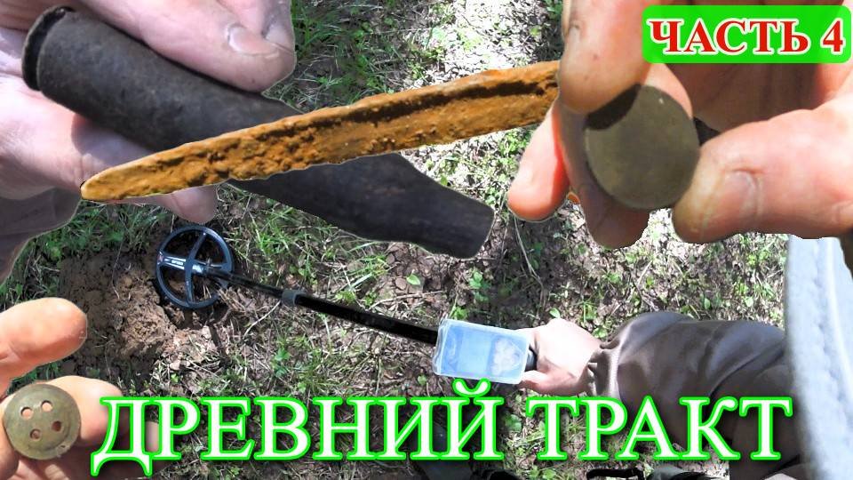 Второй сезон 2024 год
