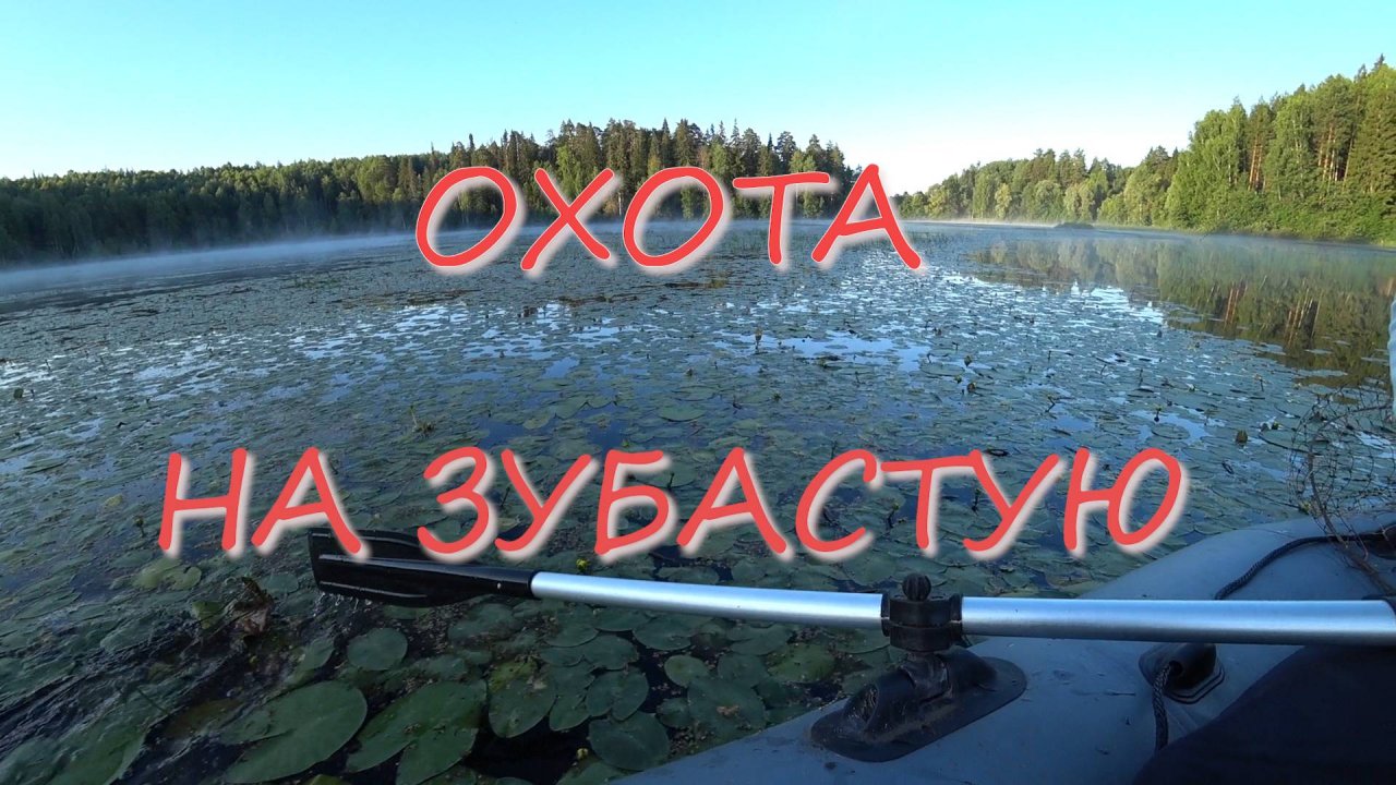 Спиннинг